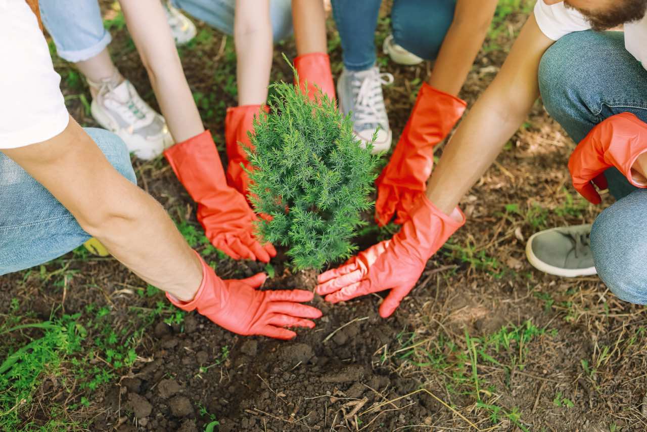 Preserving Our Planet: Taking Action for a Sustainable Future